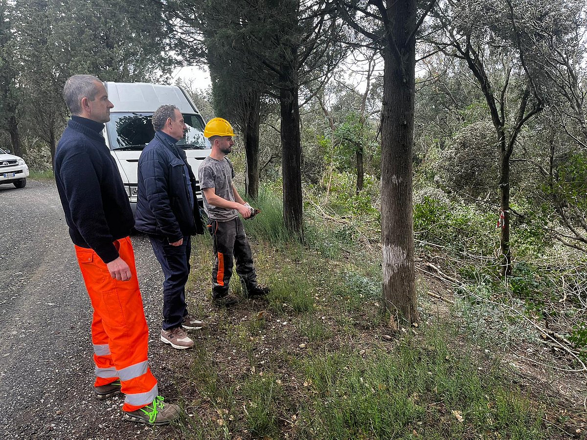 Viali parafuoco per difendere la Macchia della Magona dal rischio incendi